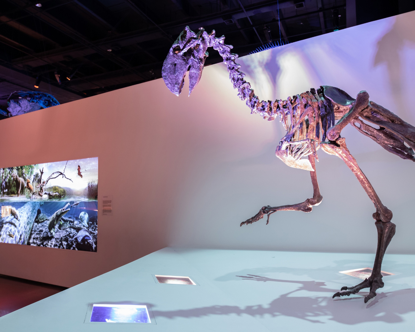 Houston Museum of Natural Science – Houston Museum District