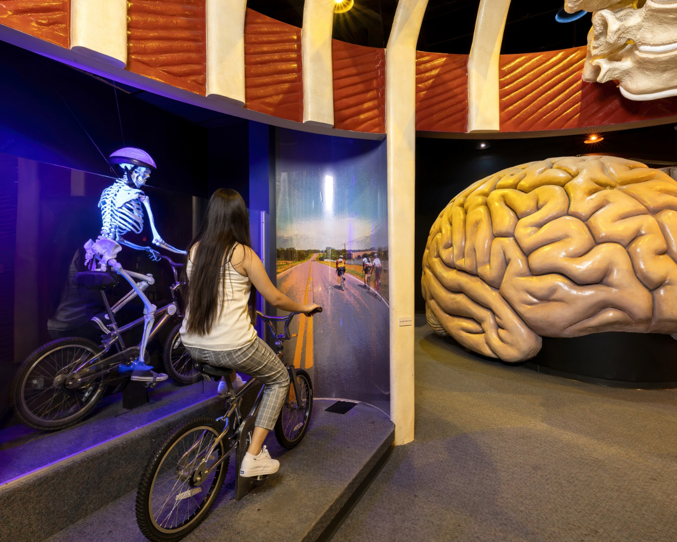 The Health Museum – Houston Museum District